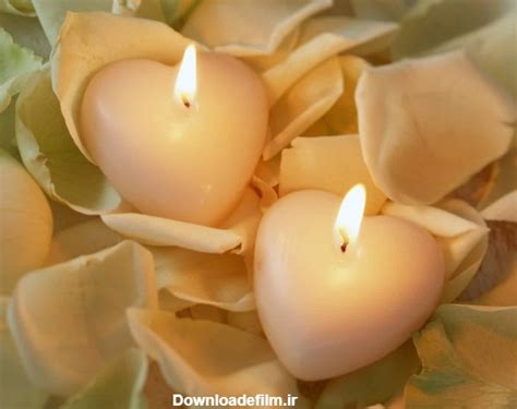 عکس های عاشقانه شمع و پروانه