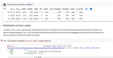 Bug Missing Error Code Column When Running Fd Invalid Instances With Bounding Box