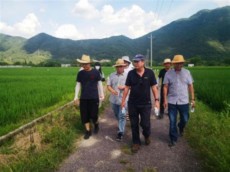 中国科学院院士钱前考察临海优质水稻种植基地