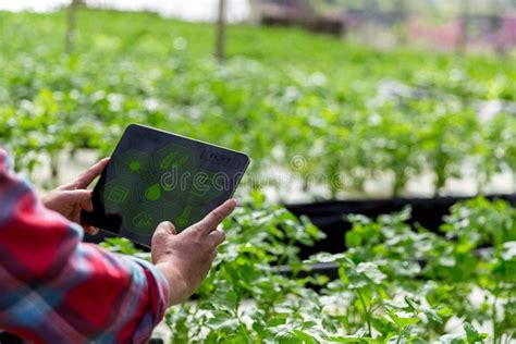 Iot Internet Of Things Modern Agriculture Smart Farming System Concept Internet Technology