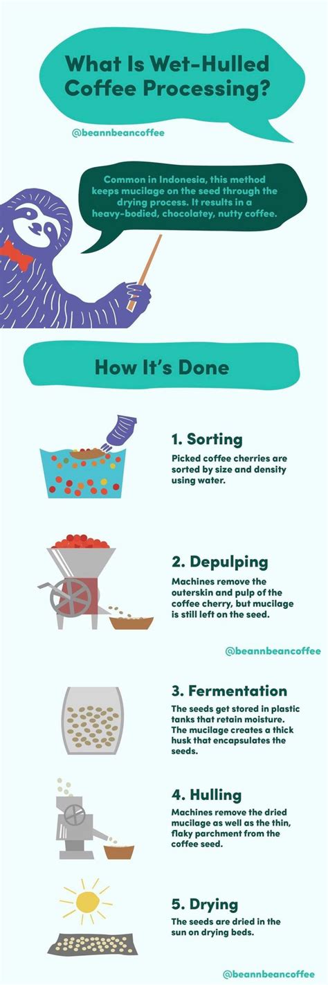 Coffee Processing Methods Discover How Coffee Gets Made Coffee Coffee Processing Methods Discover How Coffee Gets Made Coffee