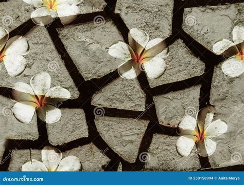 Tilable Wall Texture Floral Pattern Polygon Geometric Background Stock