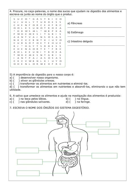 Sistema Digestório 5 Ano Atividades Revoeduca
