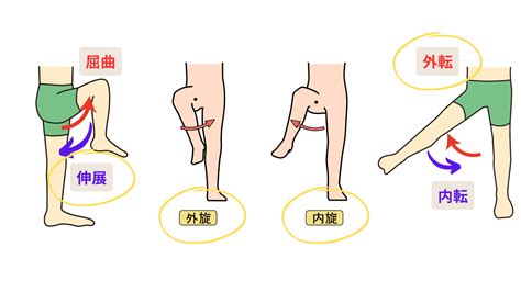 こんなに簡単でいいの！？【お尻を動かすだけの腰痛予防】30秒のラクラク股関節ストレッチ ヨガジャーナルオンライン