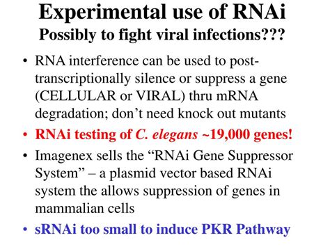 PPT RNA Interference PowerPoint Presentation Free Download ID