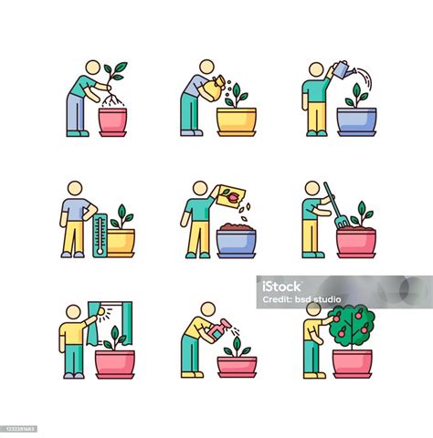 실내 원예 단계 Rgb 색상 아이콘 세트입니다 하우스 플랜트 돌보는 심기 과정 식물 재배 리포팅 급수 비옥화 분무 꽃을 전파 격리된 벡터 일러스트레이션 0명에 대한 스톡