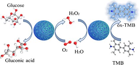 Principles Of Colorimetric Detection Of Glucose By Aupd Ne Aerogels