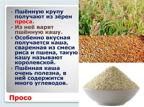 технология на тему Блюда из круп 6 класс презентация онлайн