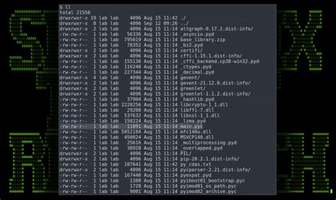 Securonix Security Advisory Python Based Pyration Attack Campaign