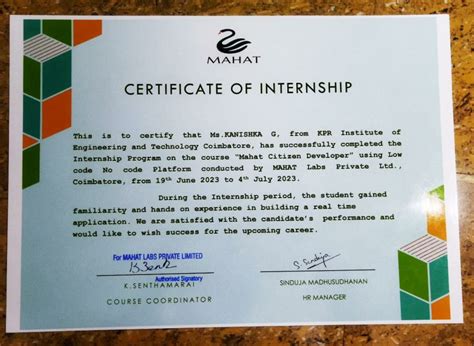 Internship Lowcode Nocode Appdevelopment Diyprojects