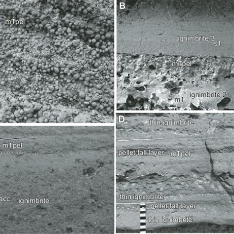 Pdf Origin Of Accretionary Lapilli Within Ground Hugging Density Currents Evidence From
