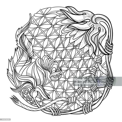 비대칭 흑백 낙서 꽃 만다라 흰색으로 격리된 꽃다발 라인 아트 벡터 그림 만다라에 대한 스톡 벡터 아트 및 기타 이미지 만다라 여름 0명 Istock