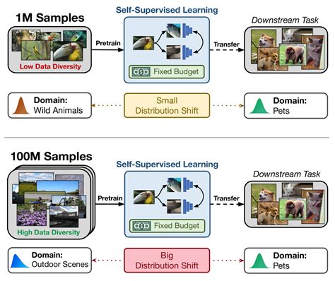 On Pretraining Data Diversity For Self Supervised Learning Ai