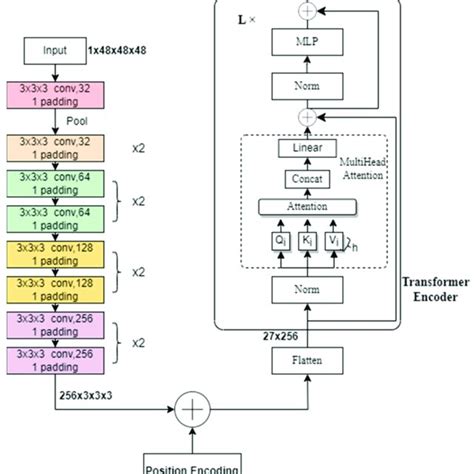 Input Pulmonary Nodule Images Into 3d Resnet And Transformer Encoder