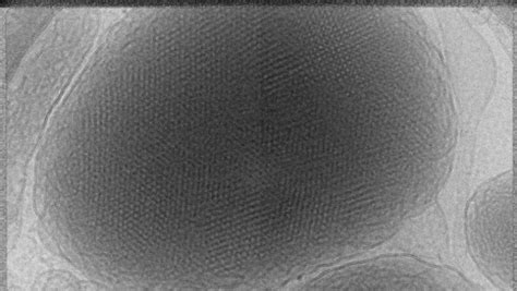 Innovative Phospholipids Enhance Mrna Delivery Statnano