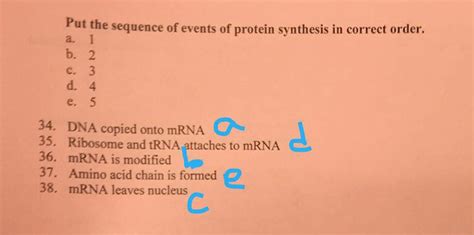 solved put the sequence of events of protein synthesis in