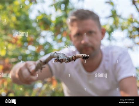 Man Pointing With Stick Hi Res Stock Photography And Images Alamy