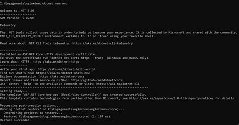 Containerize Net Core App And Deploy To K8s With Nginx Ingress