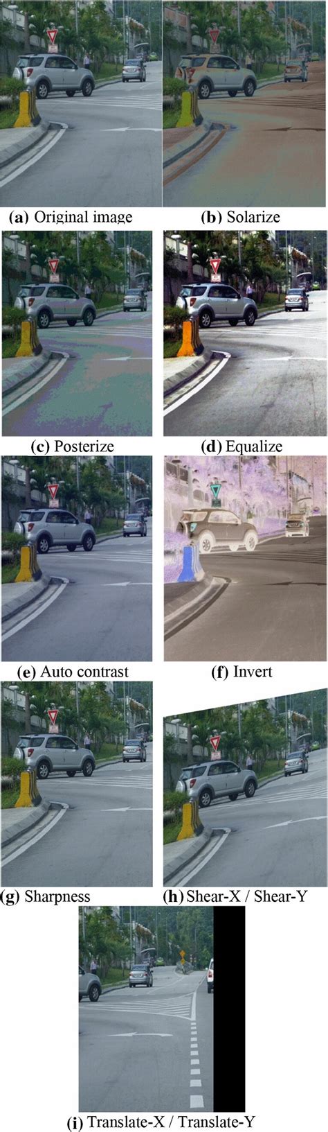 sample results for various applied image augmentation operation