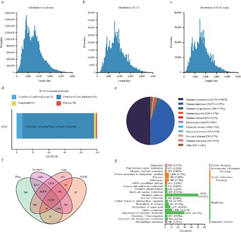 Figure 1 From Integrated Full Length Transcriptome And Metabolome