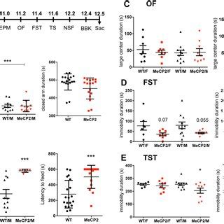 Sex Dependent Changes In Anxiety And Depression Like Behavior In MeCP2 Download Scientific