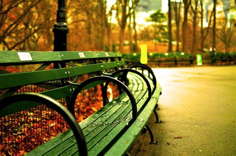Free Images Tree Nature Grass Light Sunset Bench Night Lawn Sunlight Morning Rain