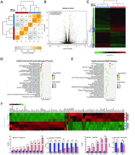 Bioinformatic Analyses Of RNA Sequencing A Heat Map Of Samples Download Scientific Diagram