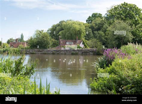South Pond Midhurst West Sussex Summer Birds And Flowers With Old Cottage South Downs