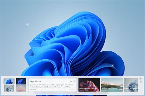 Windows Spotlight Windows