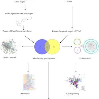 Molecular Docking Simulation Of Active Compounds With Ligands The Top Download Scientific