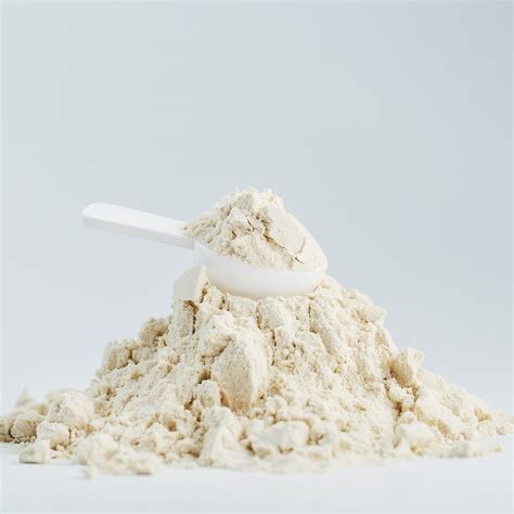 What Is Whey Vs Casein Understanding The Ratio Biostime