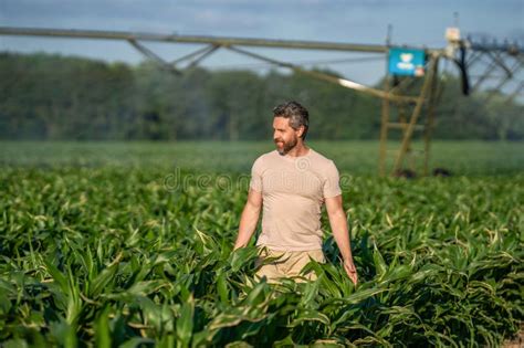 Man At Irrigation System Agricultural Field Farmer Man In Countryside Irrigating Crop Field