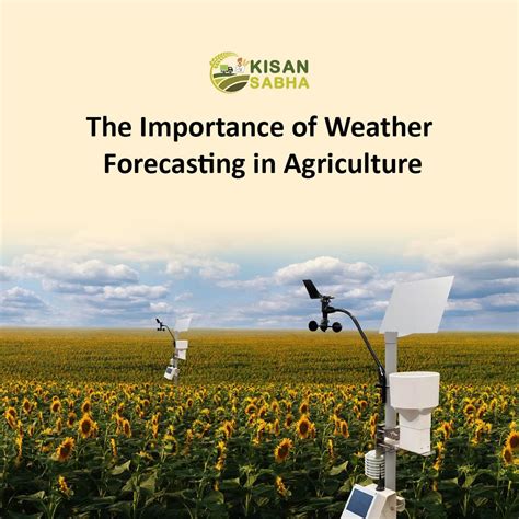 The Importance Of Weather Forecasting In Agriculture
