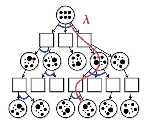 Pomdp Planning Anthony Corso