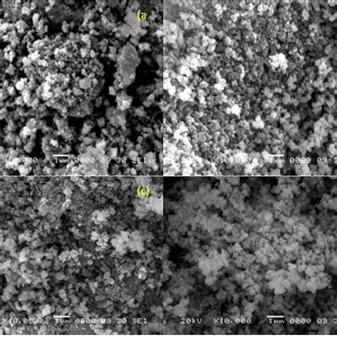 sem micrographs of a pure fe 3 o 4 nanoparticles and tio 2 coated fe