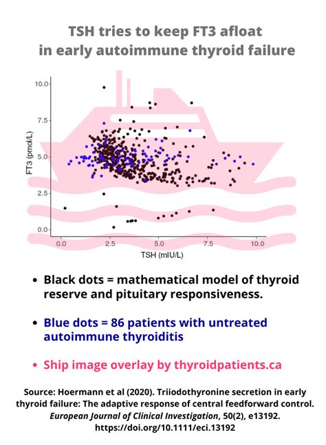 The Significance Of The Tsh Ft3 Circadian Rhythm Thyroid Patients Canada