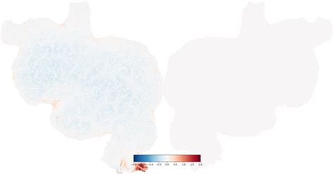 Flatmap Distortion Pycortex 1 2 11 Documentation