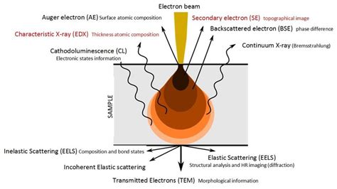 schematic diagram of electron beam interaction with sample [107
