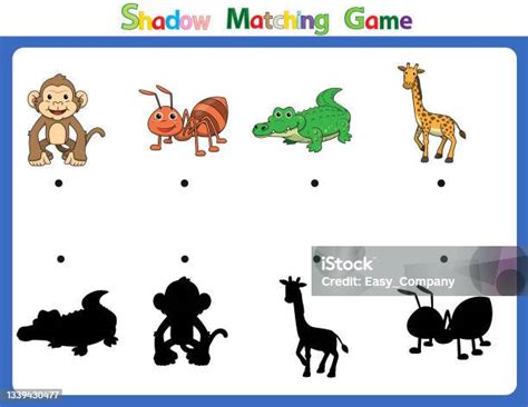 다른 모양의 그림자를 학습하기위한 벡터 그림입니다 어린이 마녀 4 만화 이미지 원숭이 개미 악어 기린 갈색에 대한 스톡 벡터 아트 및 기타 이미지 Istock