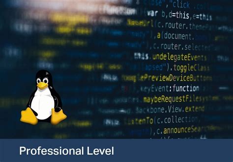 CompTIA Linux Curs De 5 Zile Bittnet Training