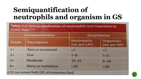 Gram Staining Power Point Presentation Ppt Ppt