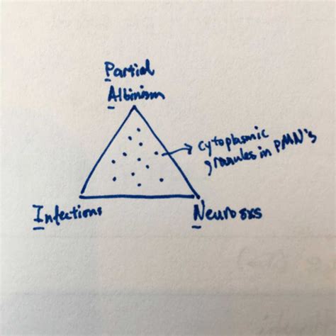 Immunodeficiencies Flashcards Quizlet