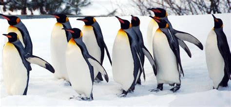 Hack Like A Pro Linux Basics For The Aspiring Hacker Part 6