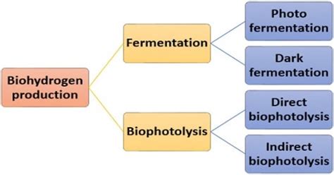 Biohydrogen Assignment Point