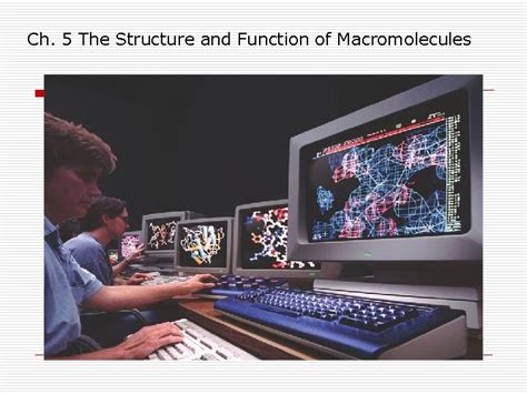 Ch 5 The Structure And Function Of Macromolecules