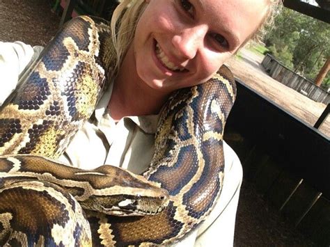 Fluffy The Bermese Python Reptile Park Reptile Park Snake Lovers