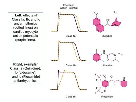 Antiarrhythmic Drugs Drugs Used In Arrhythmia Ppt