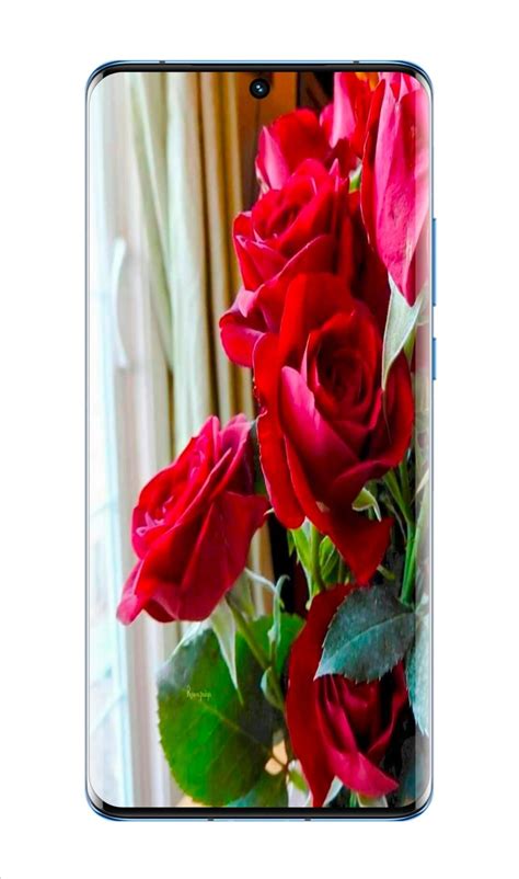 خلفيات ورد صور ورد Apk برای دانلود اندروید