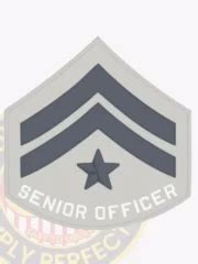 Police Rank Chevrons Gallery Design Examples Owl Badges