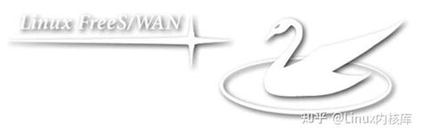 Ipsec 原理和应用简介（一篇搞定~） 知乎